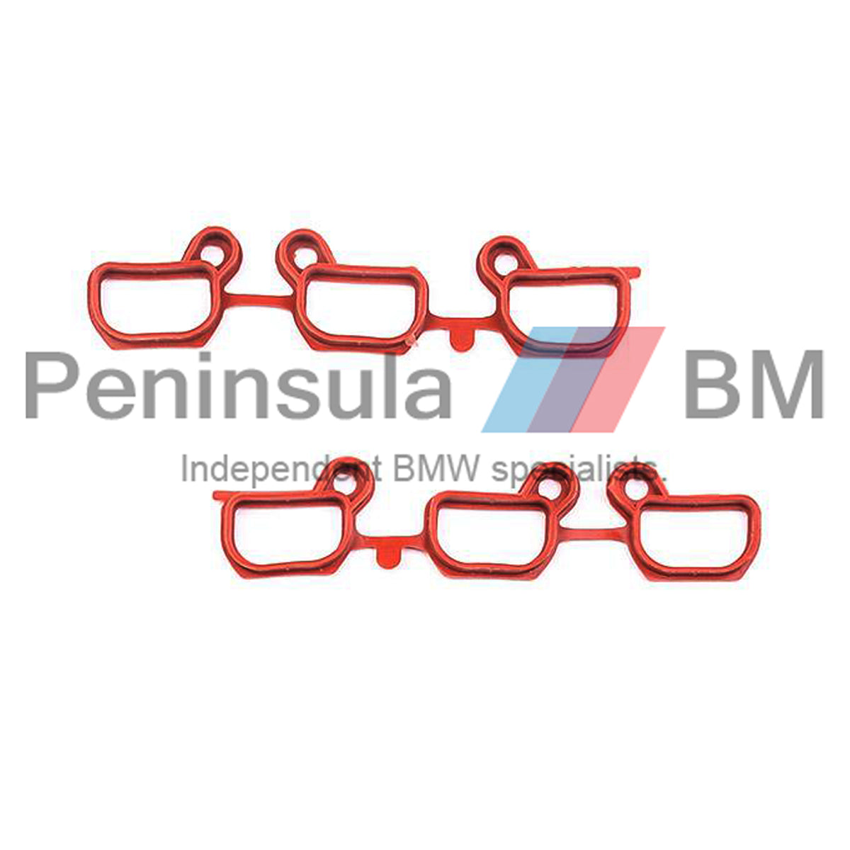 BMW Gasket Intake Manifold E46 E39 E60 E66 X3 X5 Z3 Z4 M52 M54 1161143 ...