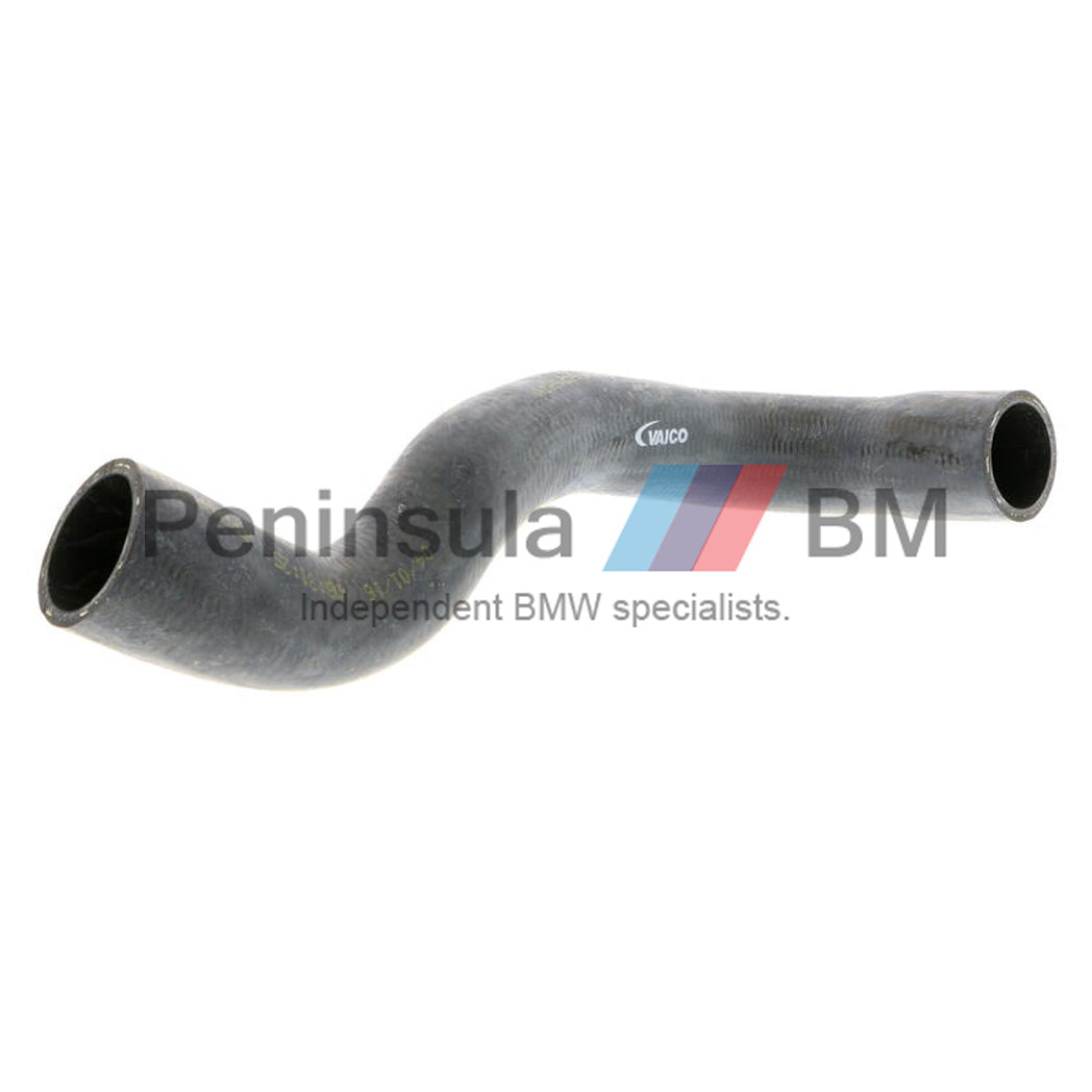 BMW Coolant Hose Radiator Lower E36 M43 M42 VAICO 11531247203 ...