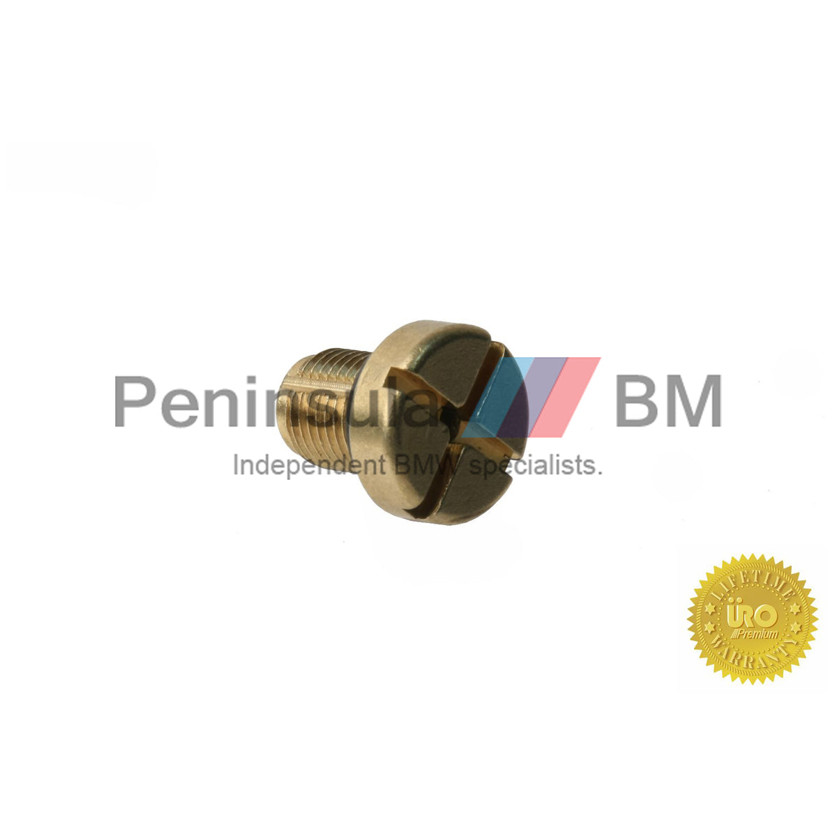 BMW Brass Vent Bleed Screw Radiator E87 E36 E46 E90 E38 E31 X1 X3 X5 Z ...