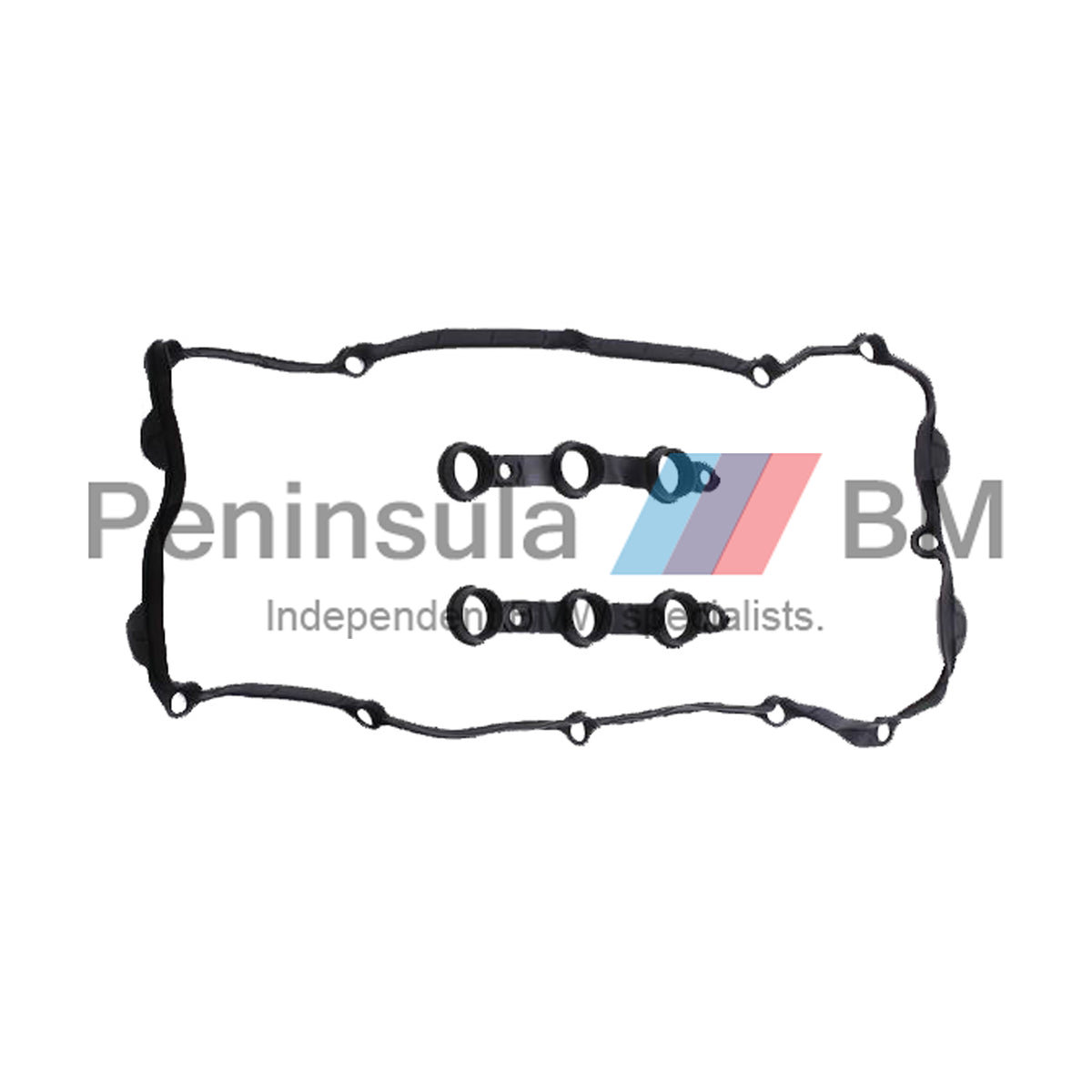 BMW Gasket Cylinder Head Cover E46 E39 E38 X5 E53 M52 M54 11129070990 ...