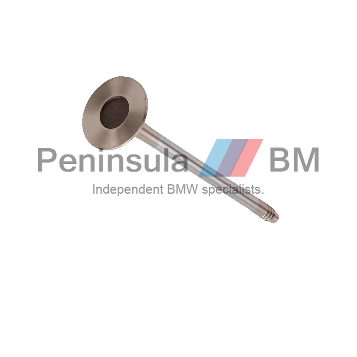 BMW Intake Valve E90 E91 E92 E93 E60 F10 X3 Z4 N52 N52N 11347539919 ...