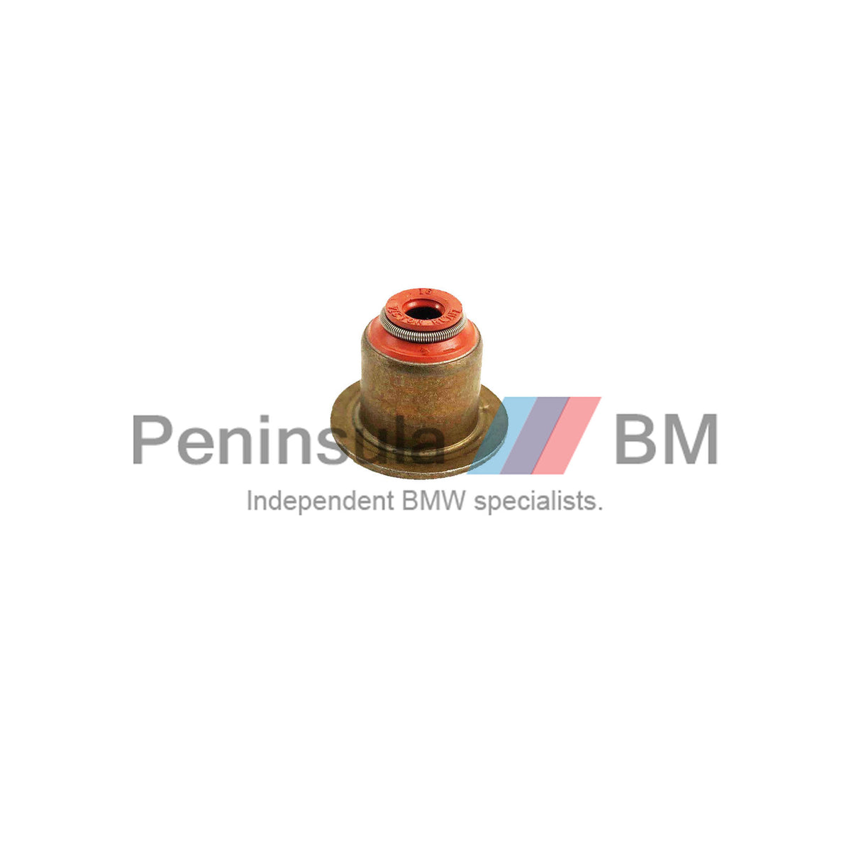 BMW Valve Stem Seal Diesel E87 F20 E90 F30 F32 F10 X1 X3 X4 X5 1134780 ...