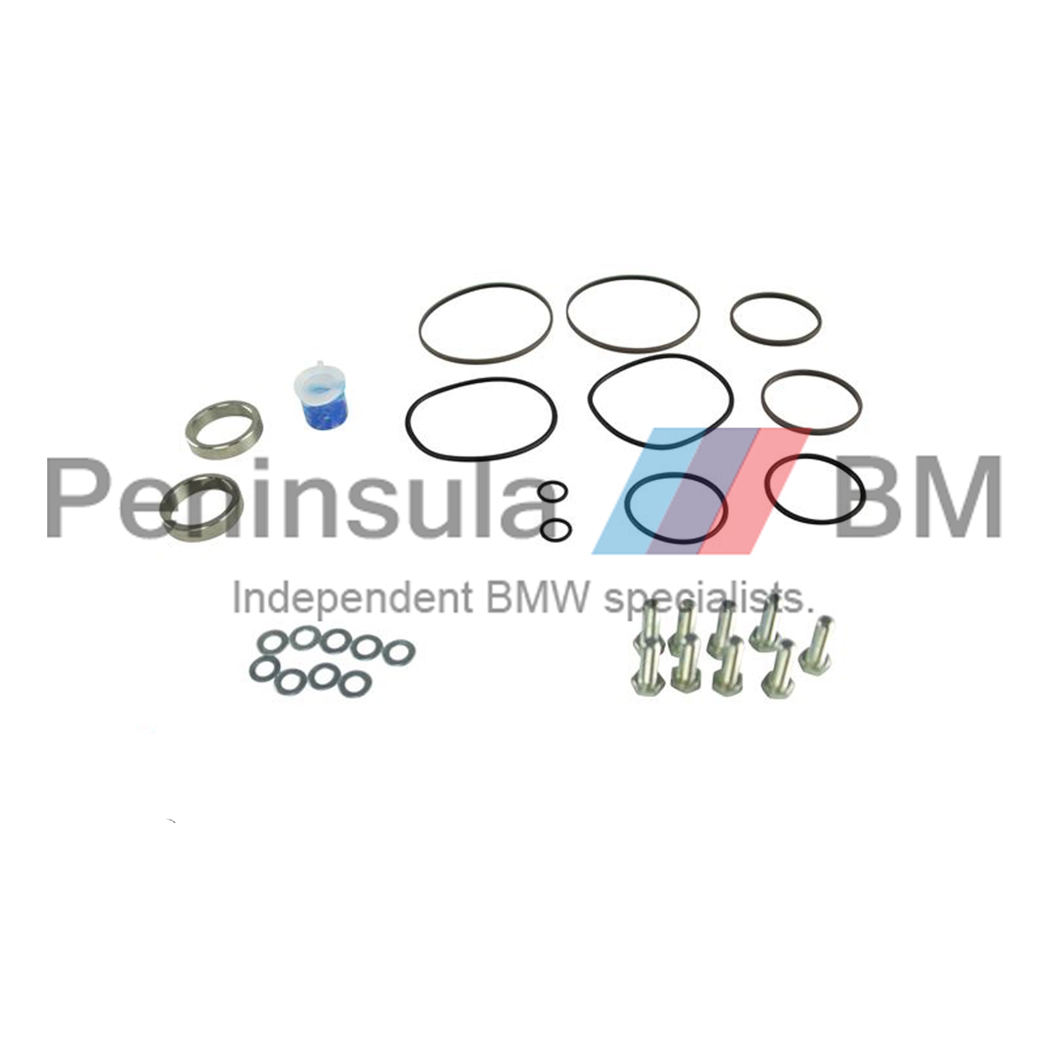 BMW Double Vanos Repair Kit E46 E39 E65 X3 X5 Z3 Z4 11361440134 ...