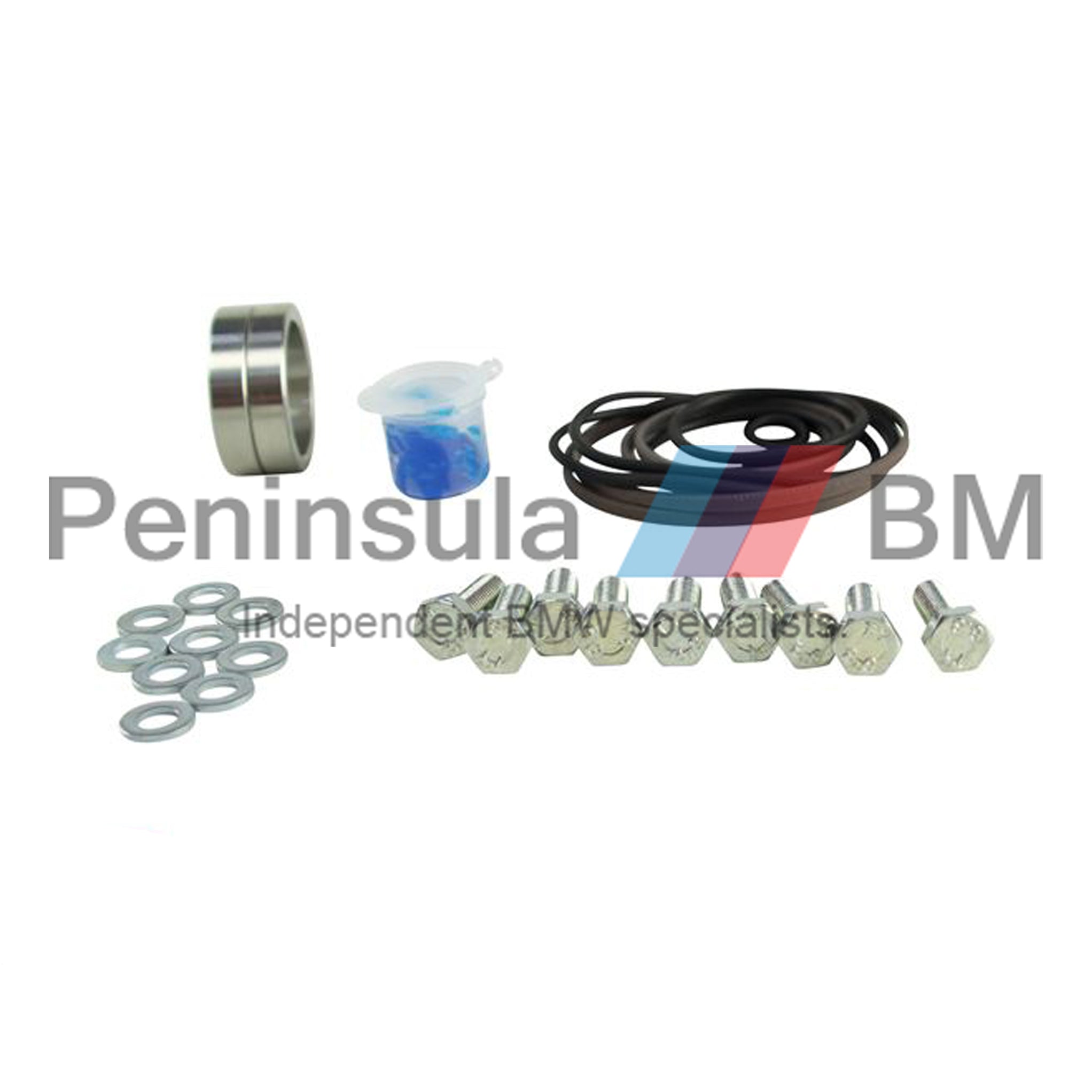 BMW Double Vanos Repair Kit E46 E39 E65 X3 X5 Z3 Z4 11361440134 ...