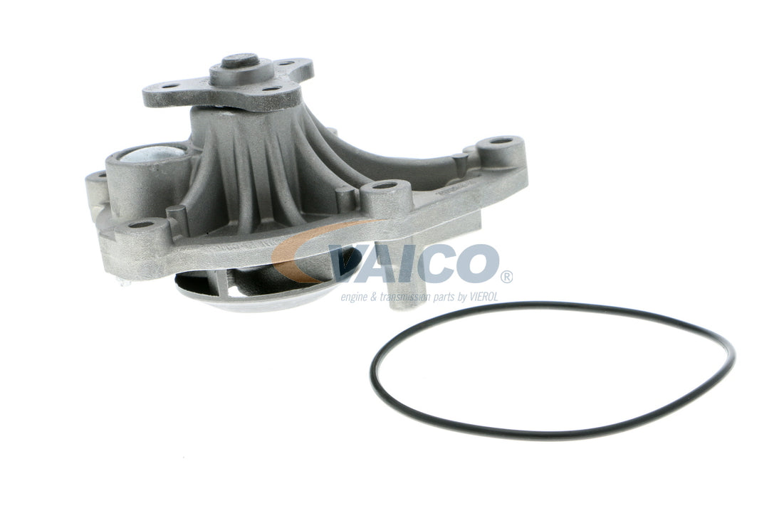 BMW Coolant Pump Inc Gasket F20 F21 F30 F31 N13 11517550484 1151764882 ...
