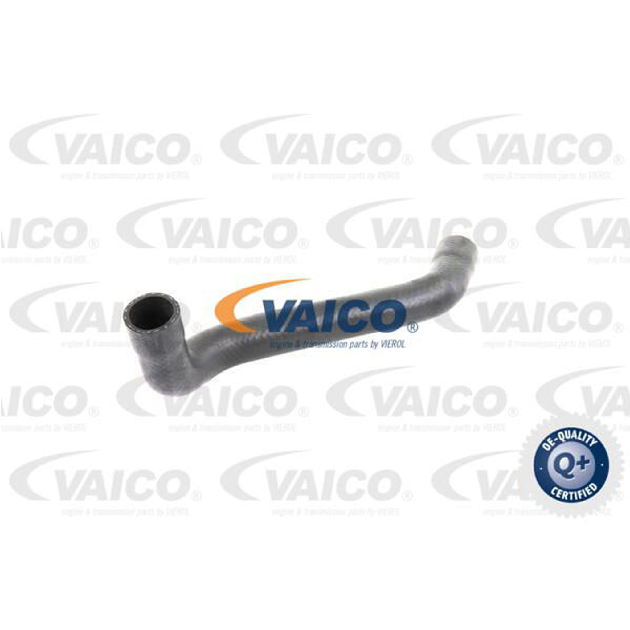 BMW Coolant Hose Radiator Lower E34 E32 M30 VAICO 11531713221 ...