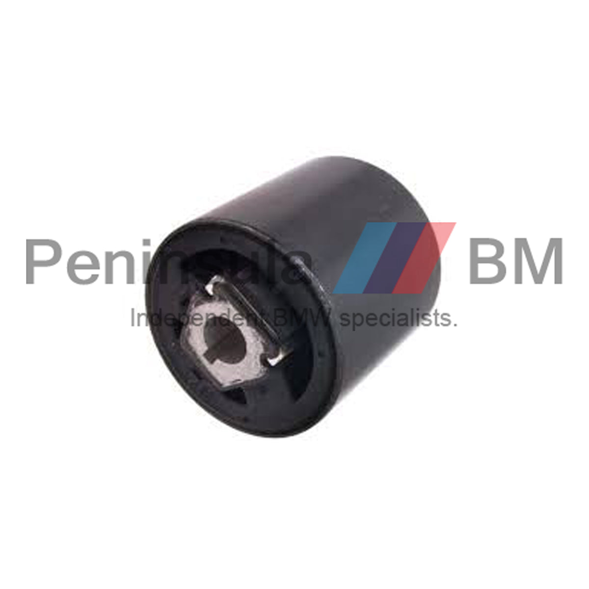 BMW Castor Arm Bush X5 E53 31126769715 — Peninsula BM
