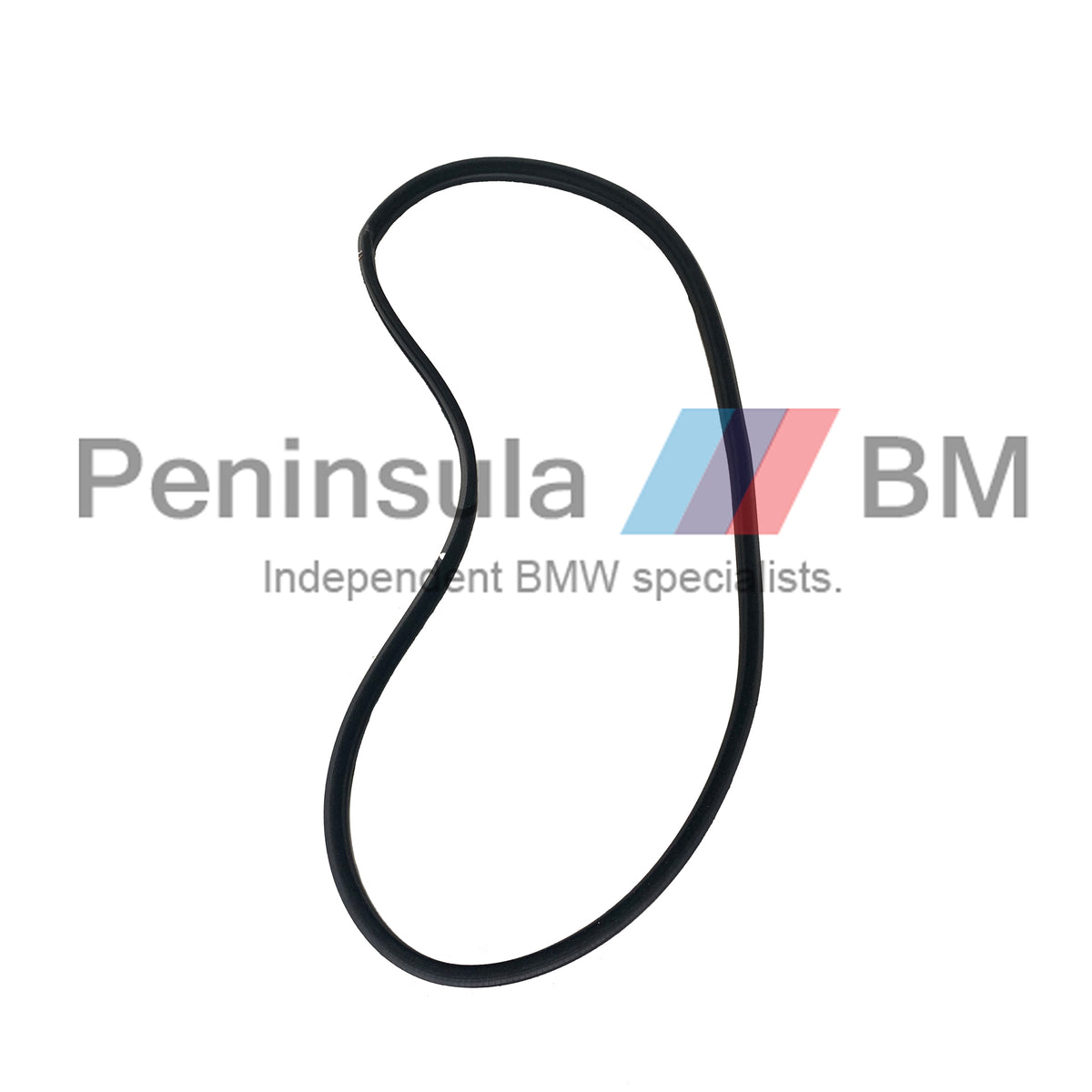 BMW Door Seal Left Rear F34 GT Genuine 51767385027 — Peninsula BM